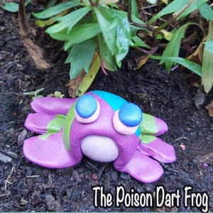 Polymer Clay Poison Dart Frog Tutorial, DIY Project (digital Download ...