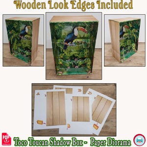 Toco Toucan Shadow Box, Toucan Diorama, Toucan Wall Hanging, Bird ...
