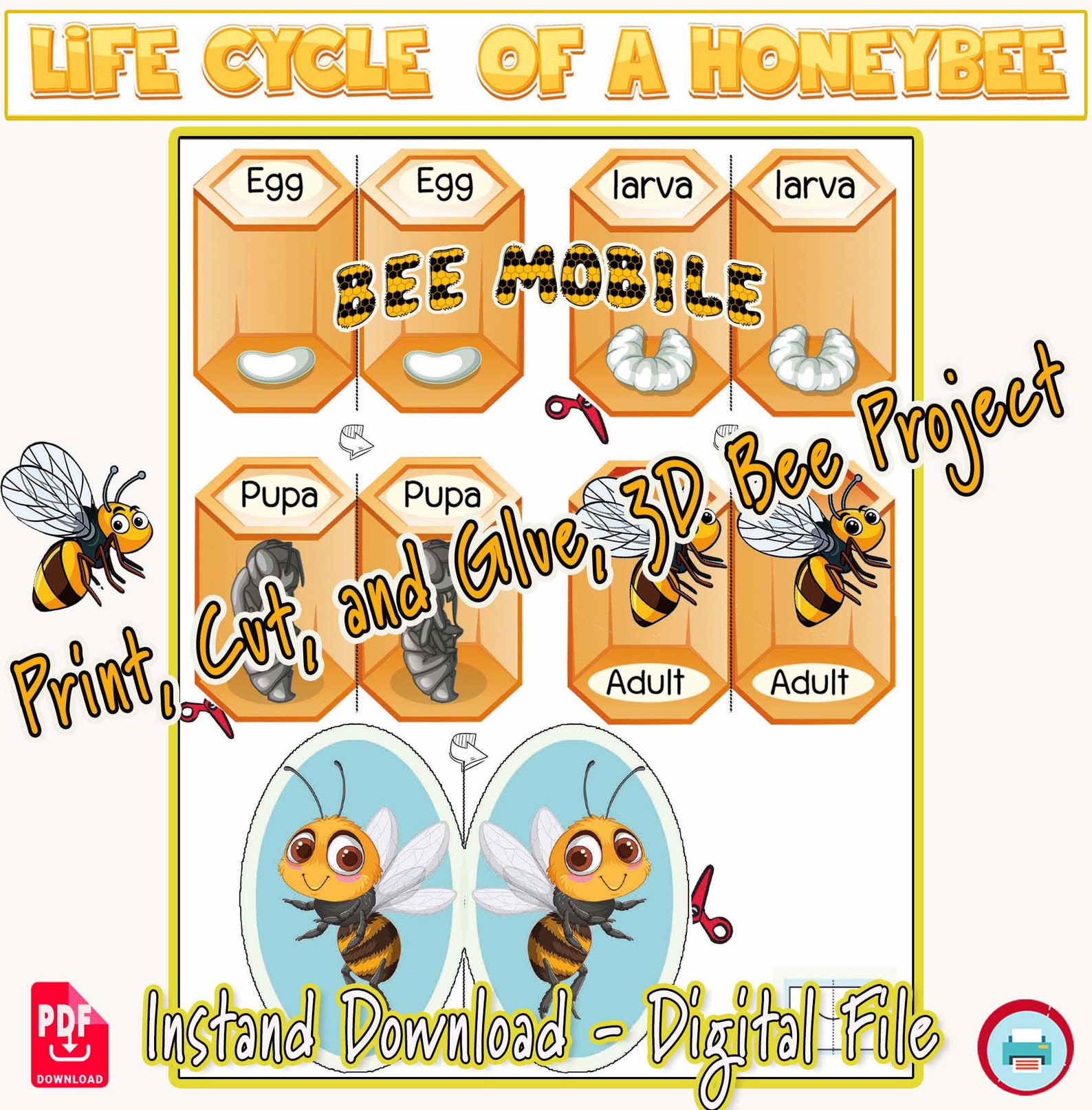 Bee Life Cycle Mobile: Cut & Paste Activity Kit (digital Download) - Etsy