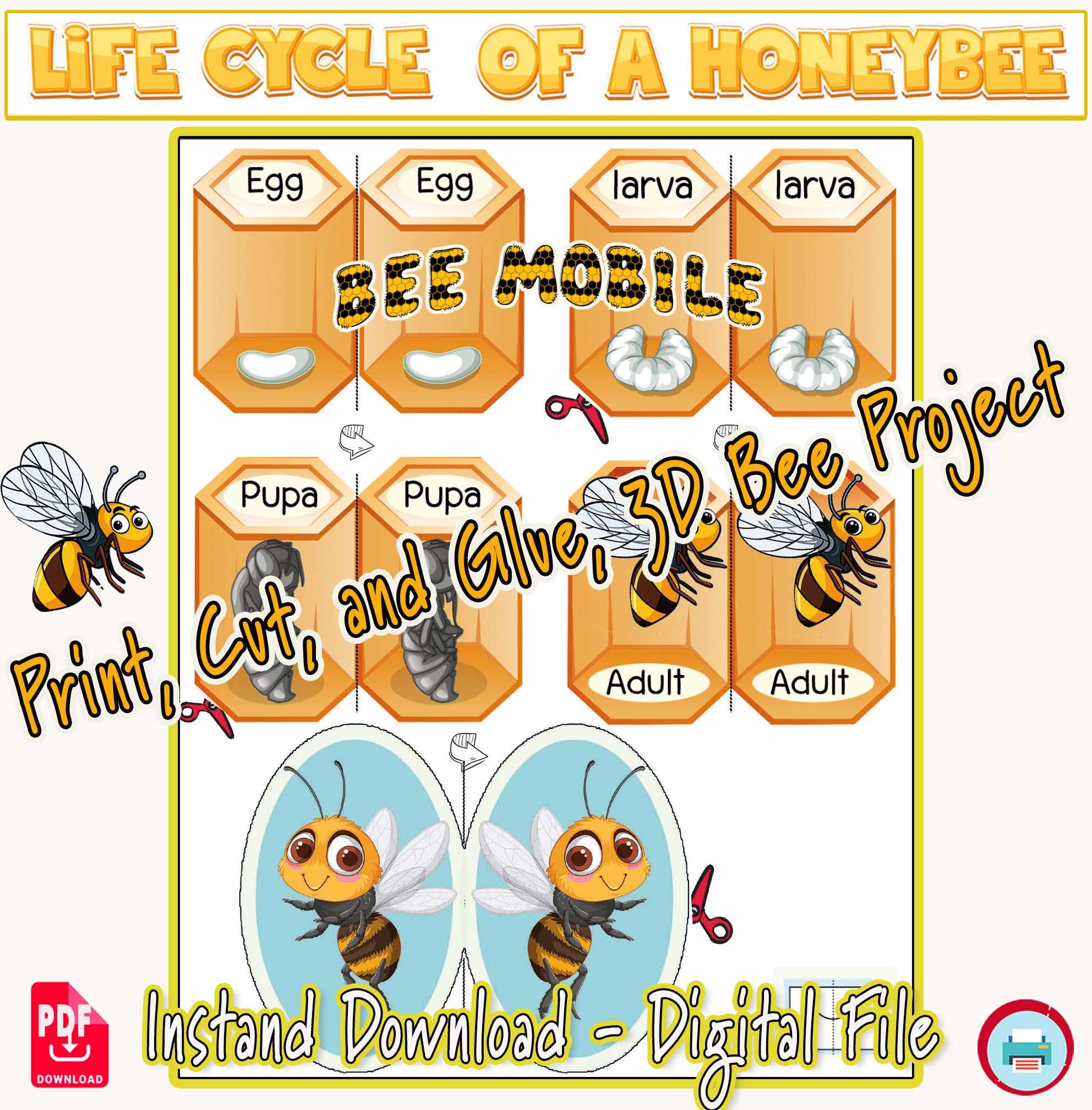 Bee Life Cycle Mobile: Cut & Paste Activity Kit (digital Download) - Etsy