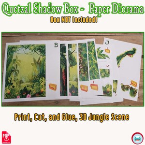 Quetzal Bird Shadow Box, Quetzal Paper Diorama, Quetzal Wall Hanging ...