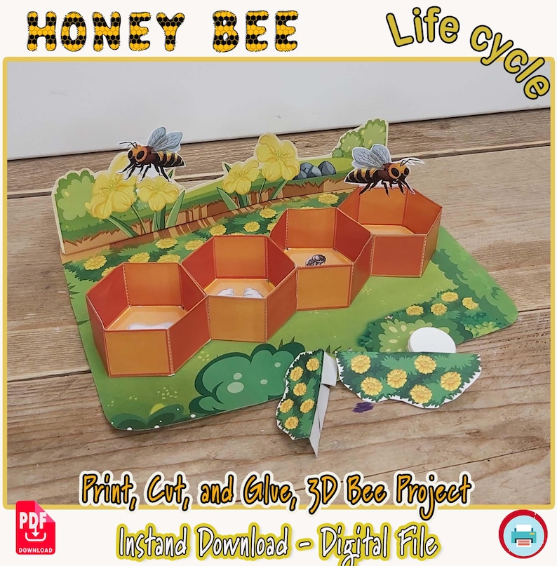 Honey Bee Life Cycle, Bee Life Cycle Diagram, Bee Classroom Decorations ...