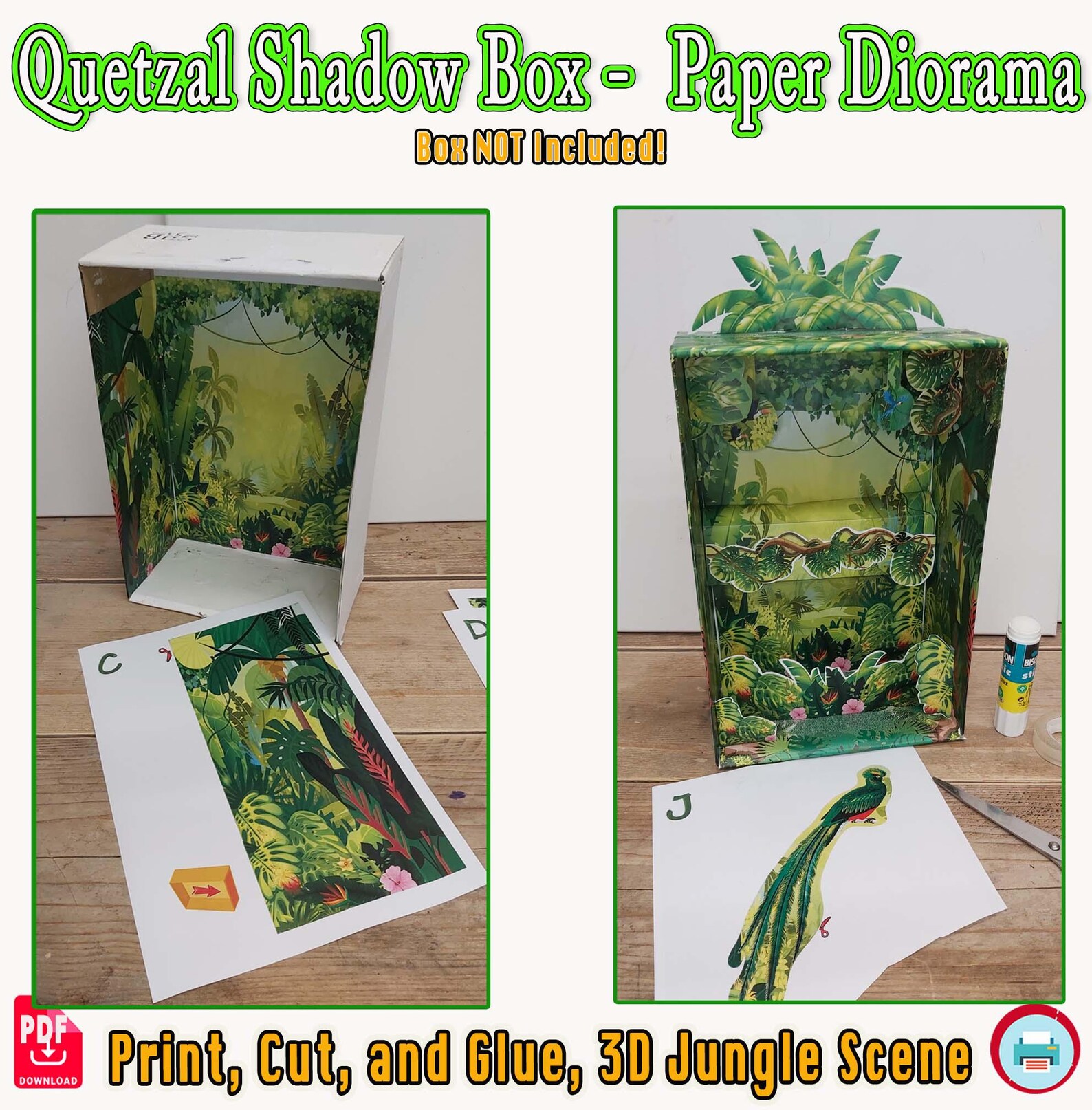 Quetzal Bird Diorama Papercraft – Tropical Rainforest Bird Craft ...