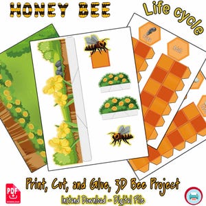 Honey Bee Life Cycle Diorama, Printable Paper Craft (PDF) - Etsy