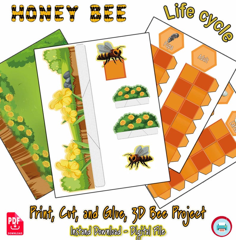 Honey Bee Life Cycle Diorama, Printable Paper Craft (PDF) - Etsy