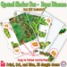 Quetzal Bird Diorama Papercraft – Tropical Rainforest Bird Craft ...