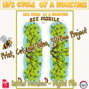 Bee Life Cycle Mobile: Cut & Paste Activity Kit (digital Download) - Etsy