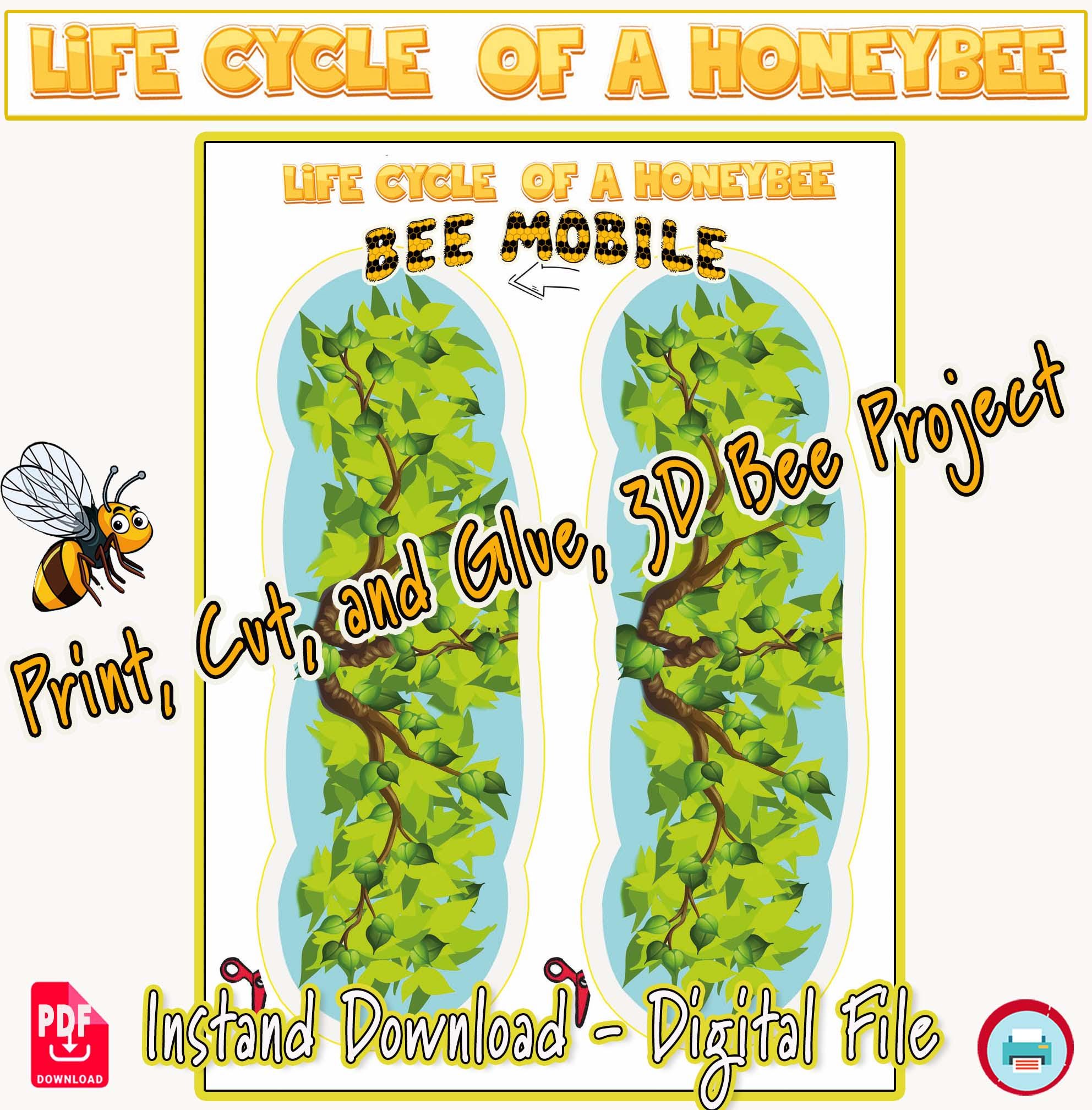 Bee Life Cycle Mobile: Cut & Paste Activity Kit (digital Download) - Etsy