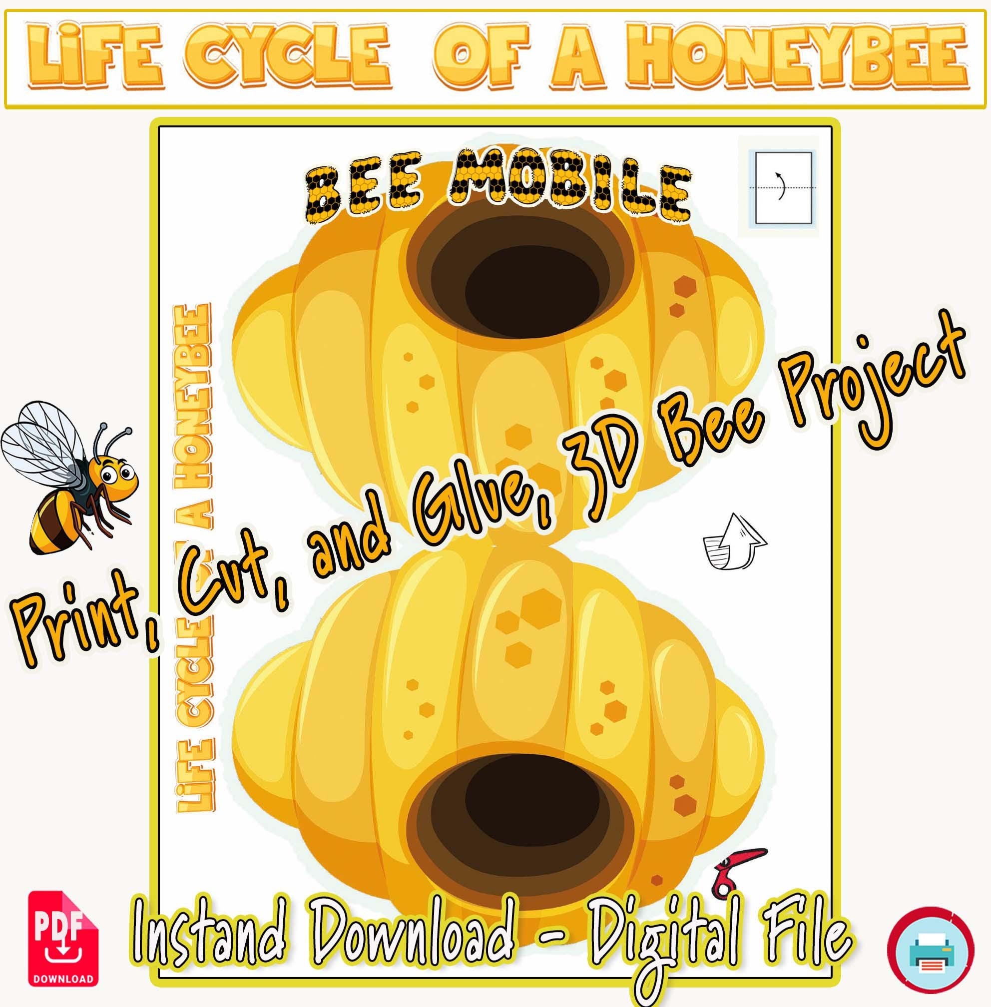 Bee Life Cycle Mobile: Cut & Paste Activity Kit (digital Download) - Etsy