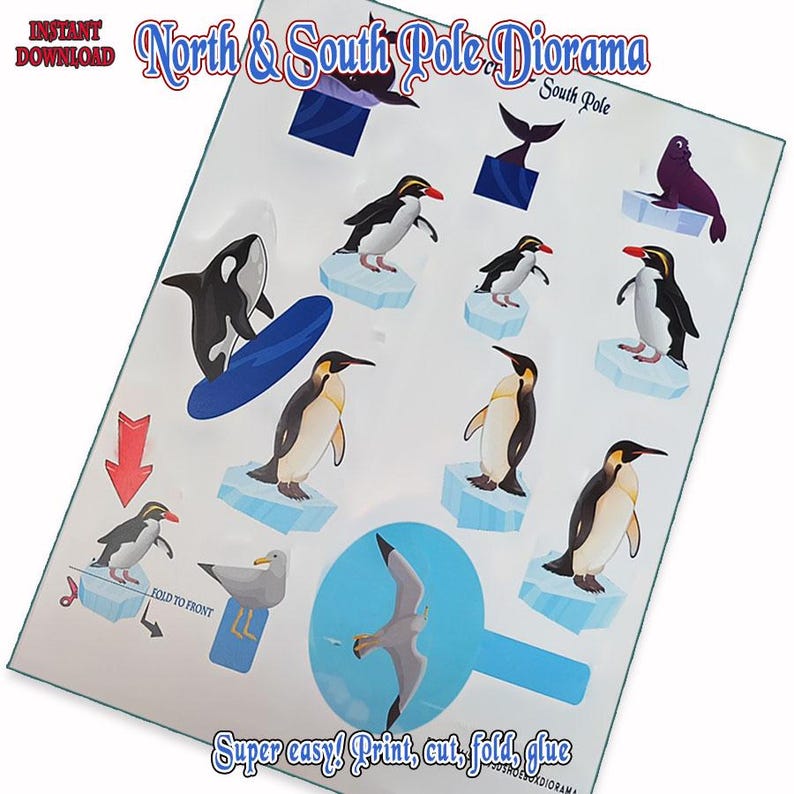 Polar Shoebox Diorama Printable – Create Your North and South Pole ...