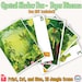 Quetzal Bird Diorama Papercraft – Tropical Rainforest Bird Craft ...