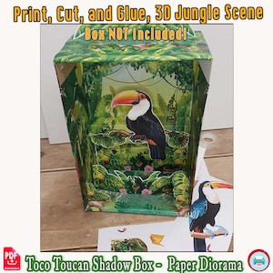 Toco Toucan Shadow Box, Toucan Diorama, Toucan Wall Hanging, Bird ...