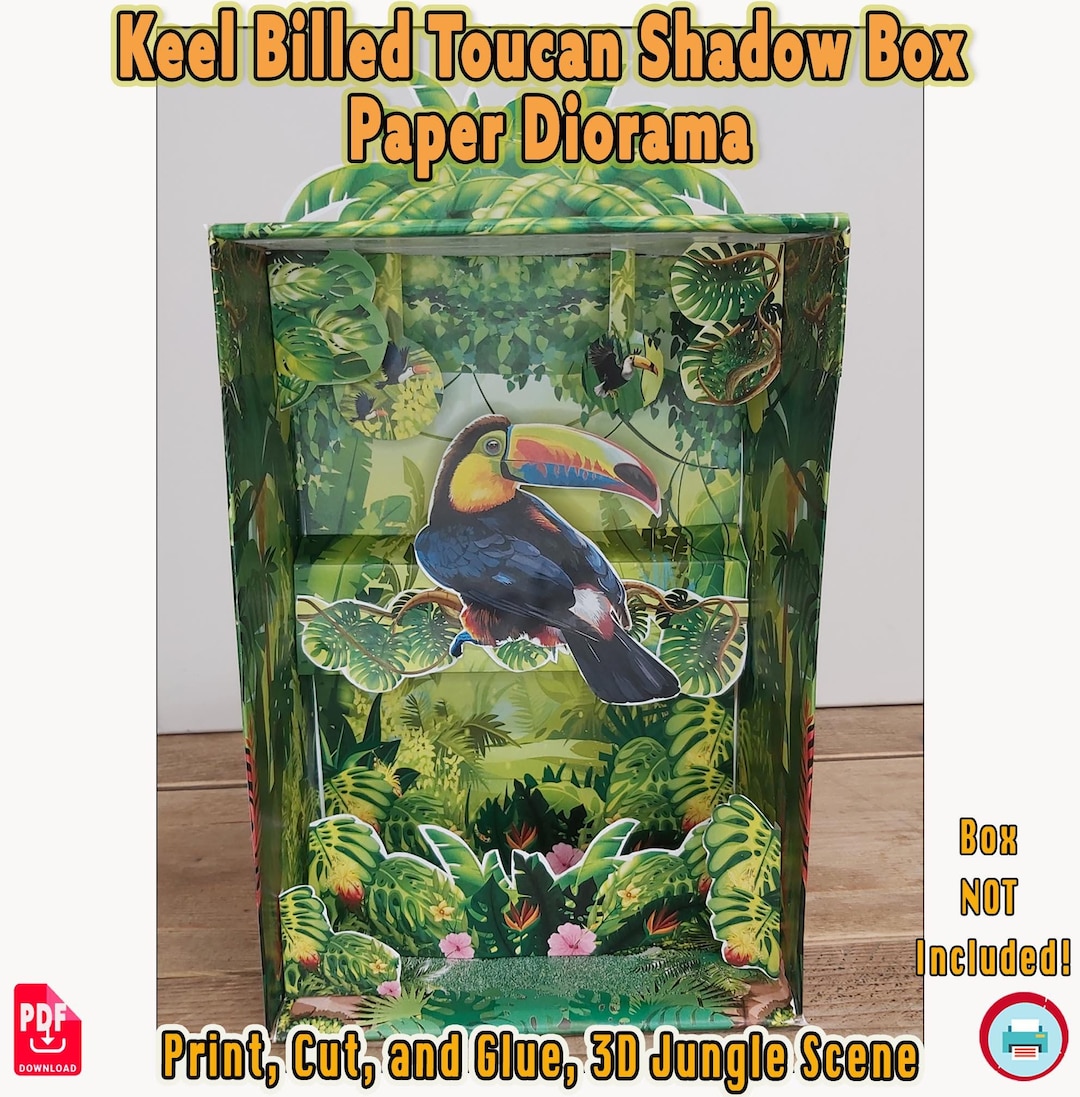 Keel Billed Toucan Diorama: 3D Jungle Scene Shadow Box (PDF) - Etsy