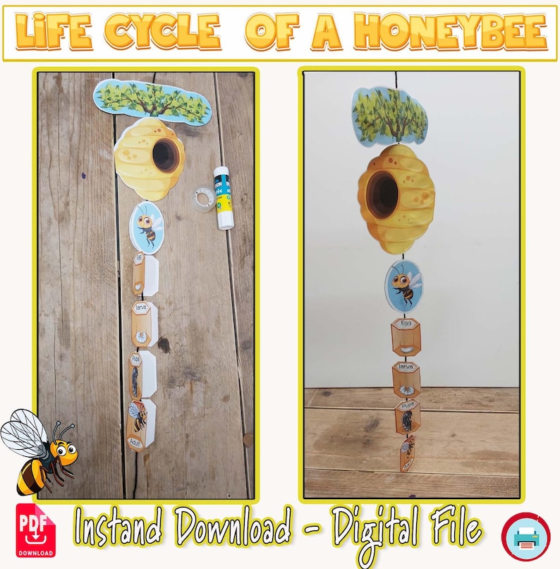 Bee Life Cycle Mobile: Cut & Paste Activity Kit (digital Download) - Etsy