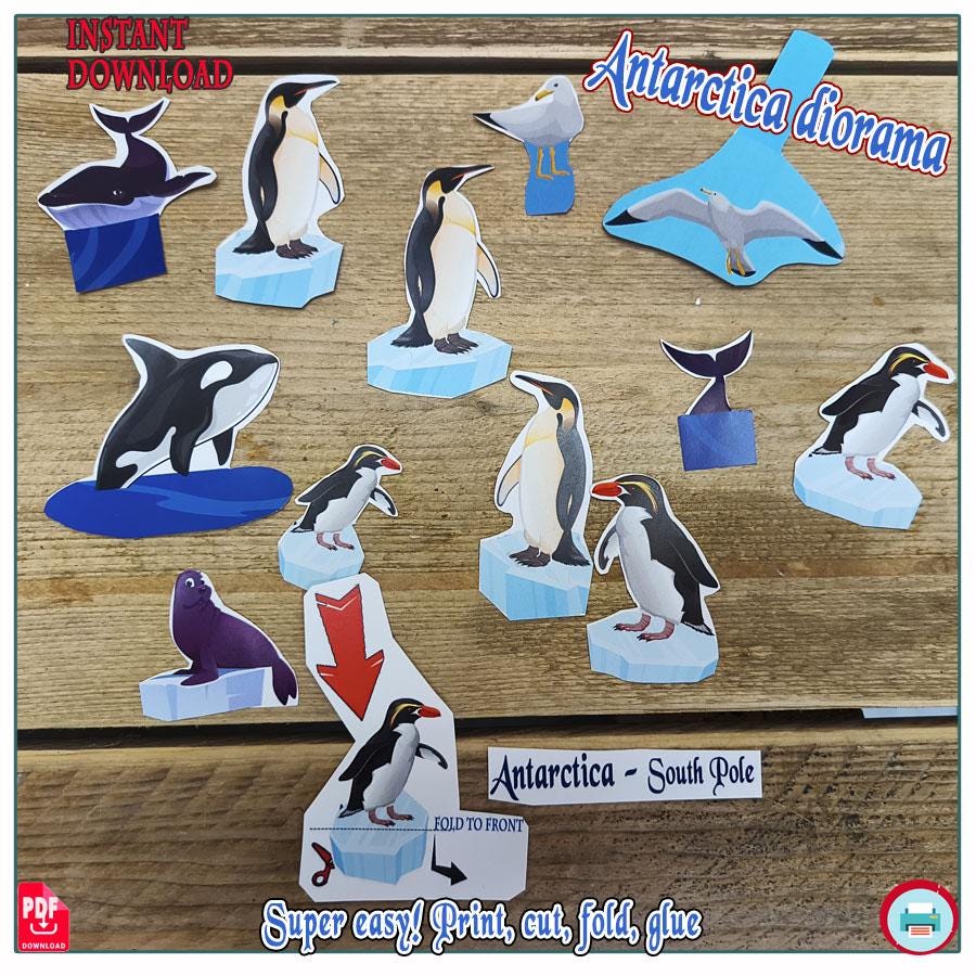 Polar Shoebox Diorama, Create Your Arctic Diorama With Penguins and ...