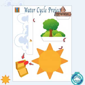 Shoebox Water Cycle Diagram Diorama, Create Your Own Papercraft Water ...