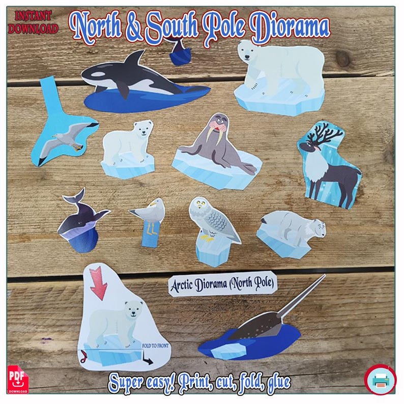 Polar Shoebox Diorama Printable – Create Your North and South Pole ...