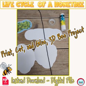 Bee Life Cycle Mobile: Cut & Paste Activity Kit (digital Download) - Etsy