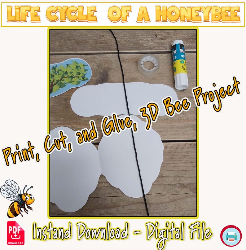 Bee Life Cycle Mobile: Cut & Paste Activity Kit (digital Download) - Etsy