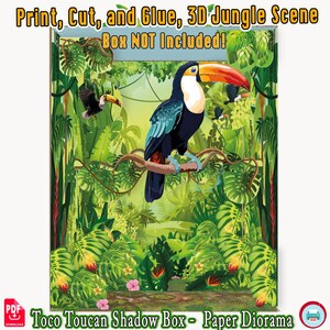 Toco Toucan Shadow Box, Toucan Diorama, Toucan Wall Hanging, Bird ...