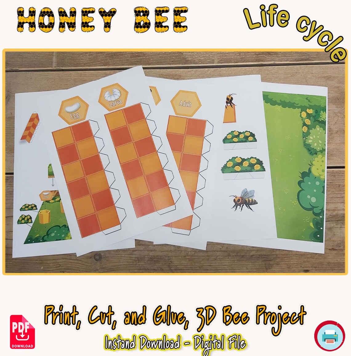 Honey Bee Life Cycle, Bee Life Cycle Diagram, Bee Classroom Decorations ...