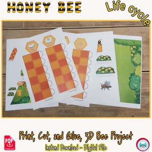 Honey Bee Life Cycle, Bee Life Cycle Diagram, Bee Classroom Decorations ...