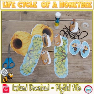 Bee Life Cycle Mobile: Cut & Paste Activity Kit (digital Download) - Etsy