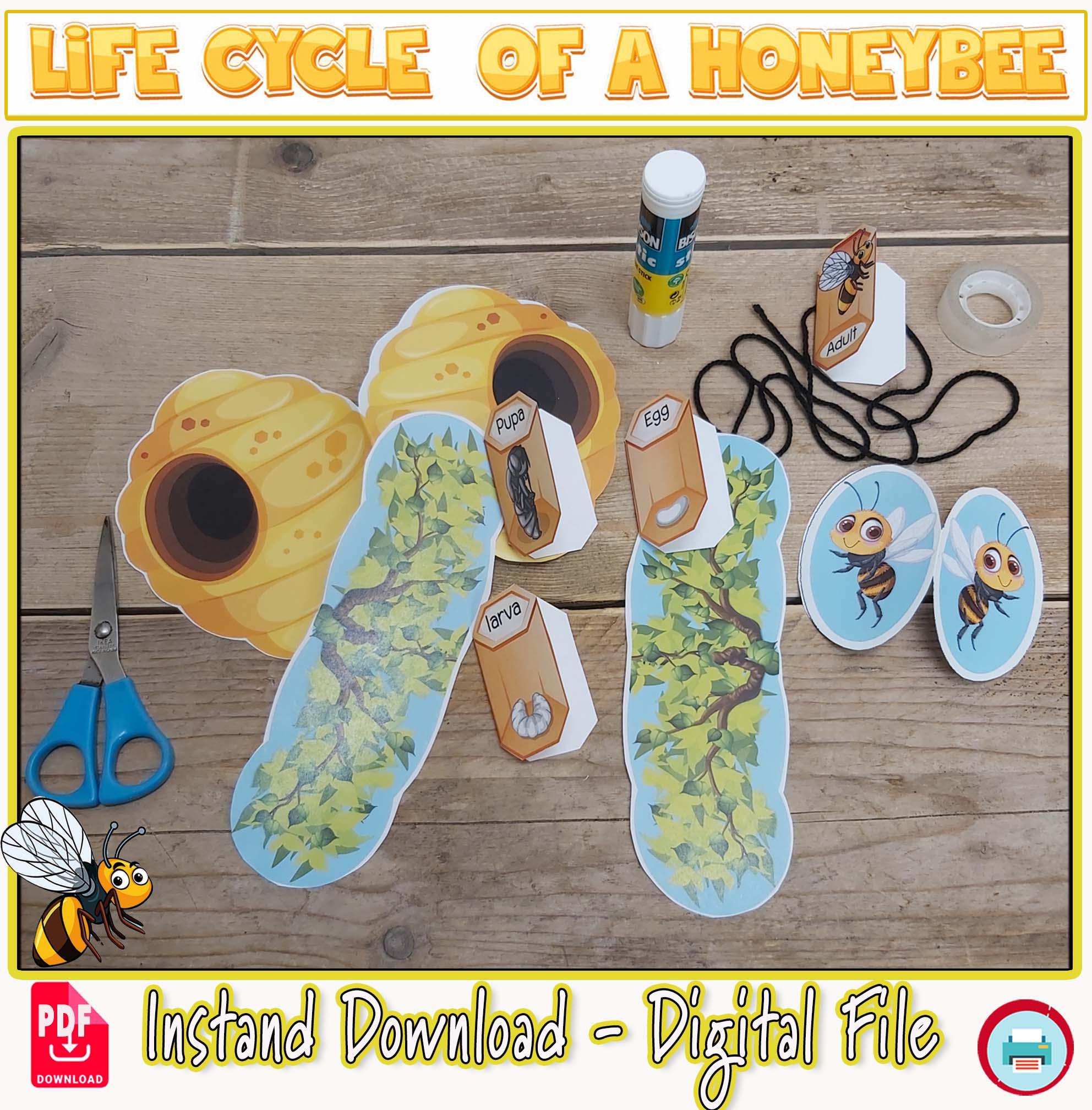 Bee Life Cycle Mobile: Cut & Paste Activity Kit (digital Download) - Etsy