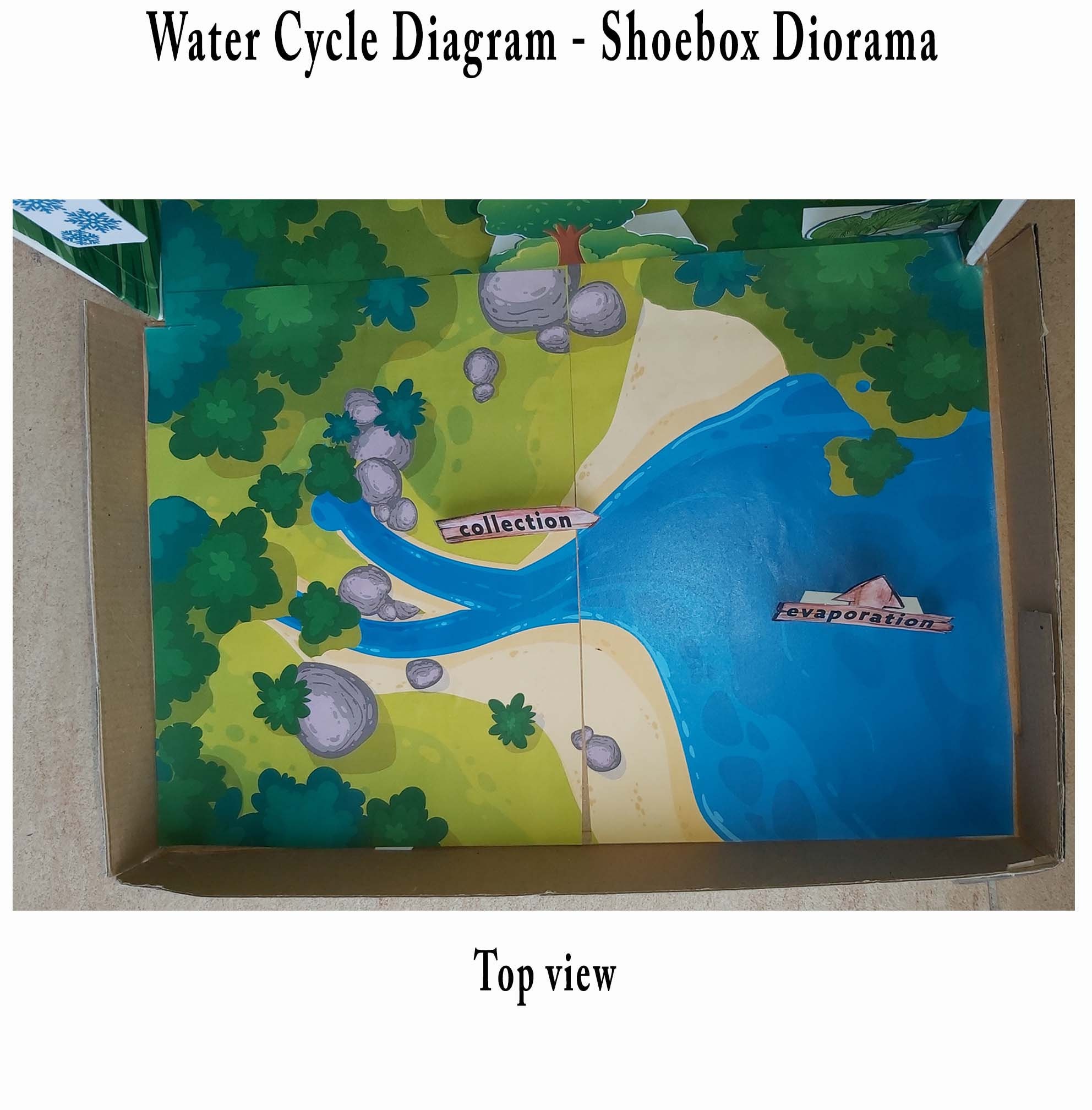 Shoebox Water Cycle Diagram Diorama, Create Your Own Papercraft Water ...