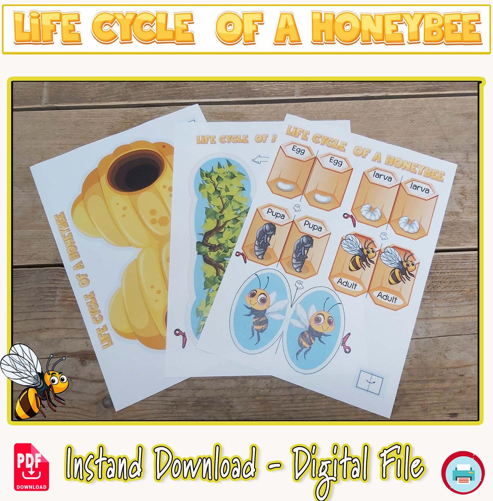 Bee Life Cycle Mobile: Cut & Paste Activity Kit (digital Download) - Etsy