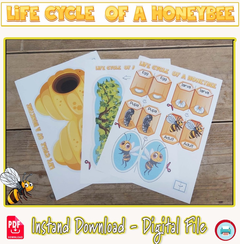 Bee Life Cycle Mobile: Cut & Paste Activity Kit (digital Download) - Etsy