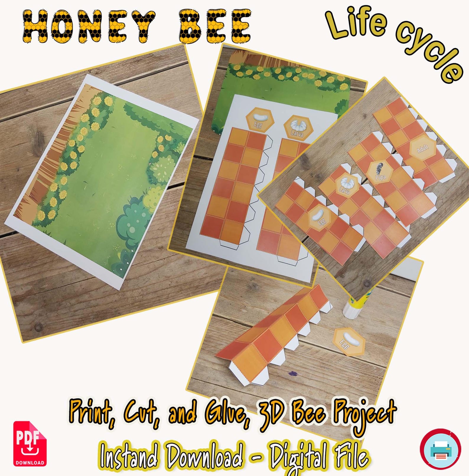 Honey Bee Life Cycle, Bee Life Cycle Diagram, Bee Classroom Decorations ...