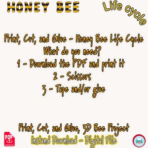 Honey Bee Life Cycle Diorama, Printable Paper Craft (PDF) - Etsy