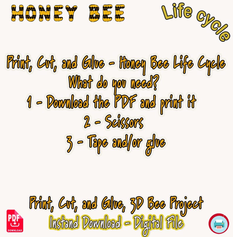 Honey Bee Life Cycle, Bee Life Cycle Diagram, Bee Classroom Decorations ...