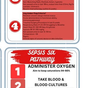 Nursing Essentials 2 - Etsy