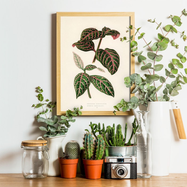 Plant Wall Art, Plant Prints, Floral Gallery Wall Art, Botanical ...