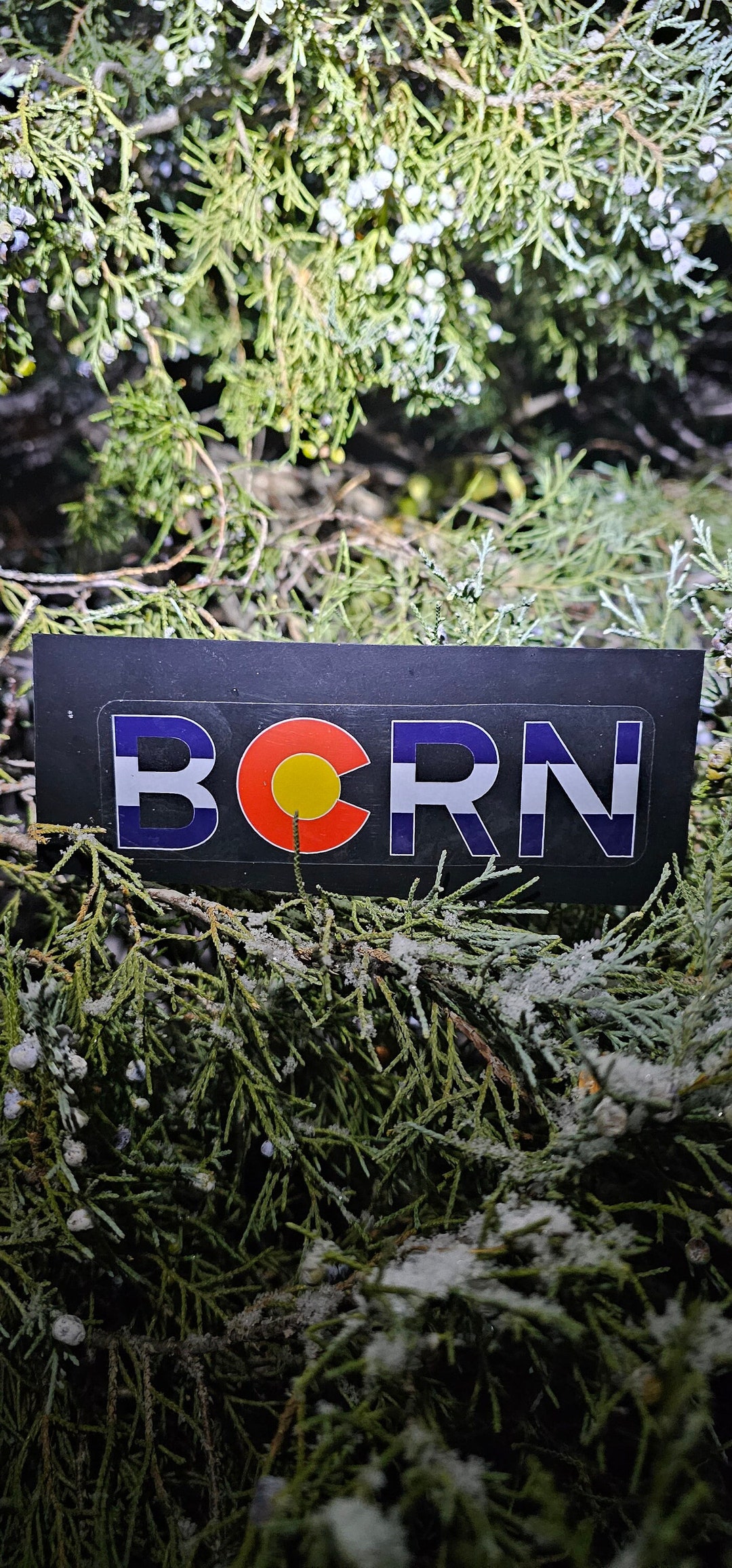 Colorado Native Sticker for Adventure, Bumper Sticker for Hiking and ...