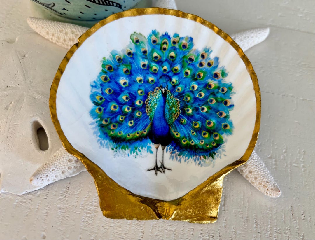 Peacock XL Scallop Shell Trinket Dish: Coastal Decoupage Shell Art - Etsy