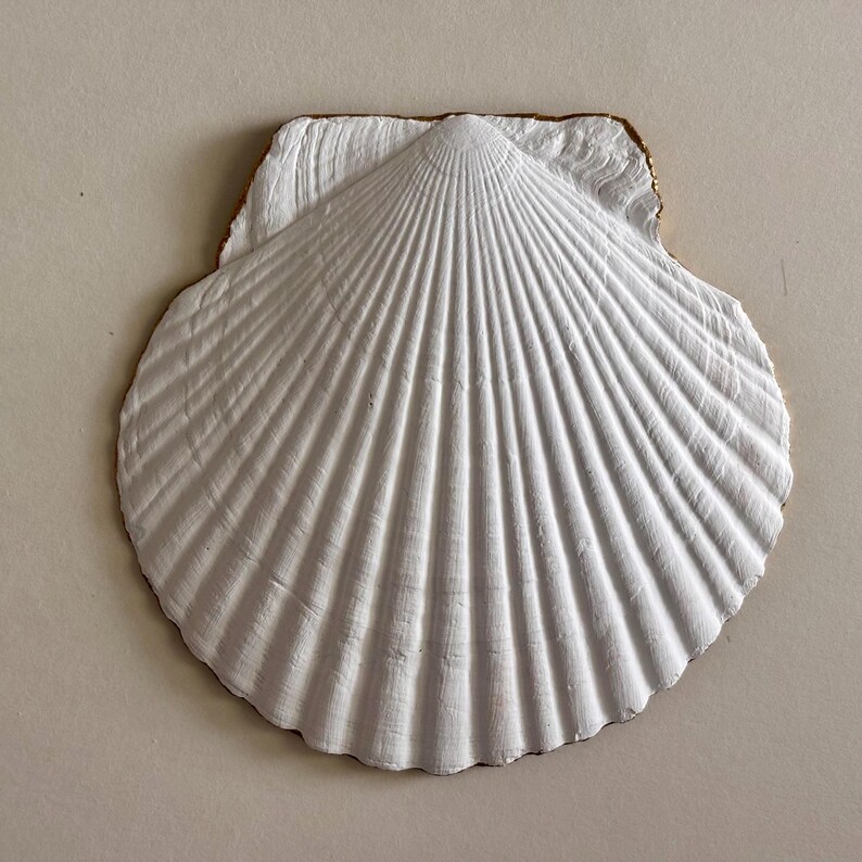 Decoupage XL Scallop Shell Trinket Dish: Peacock Blossom Coastal Decor ...