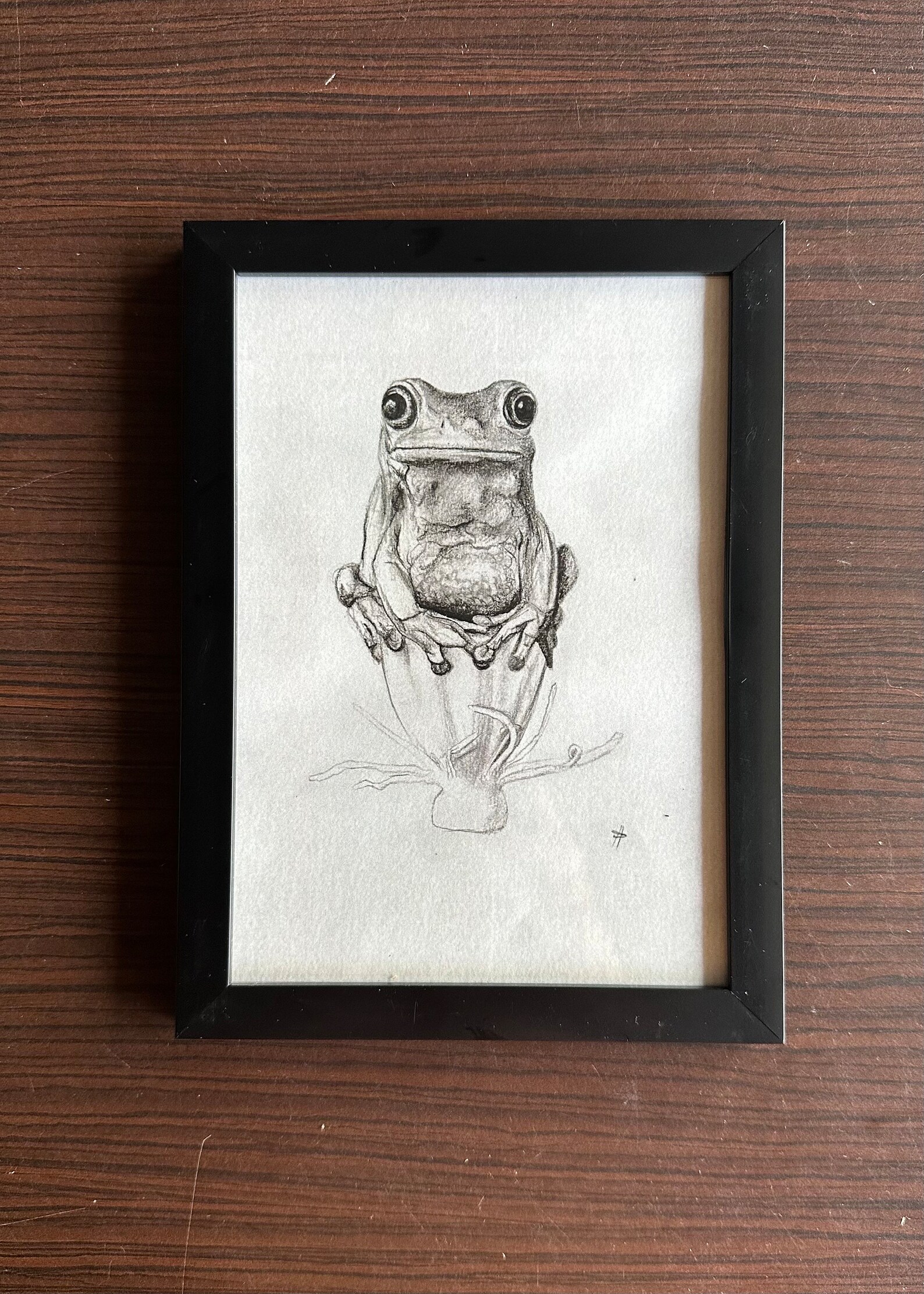 Froggy Drawing - Framed 5x7 Print - Etsy