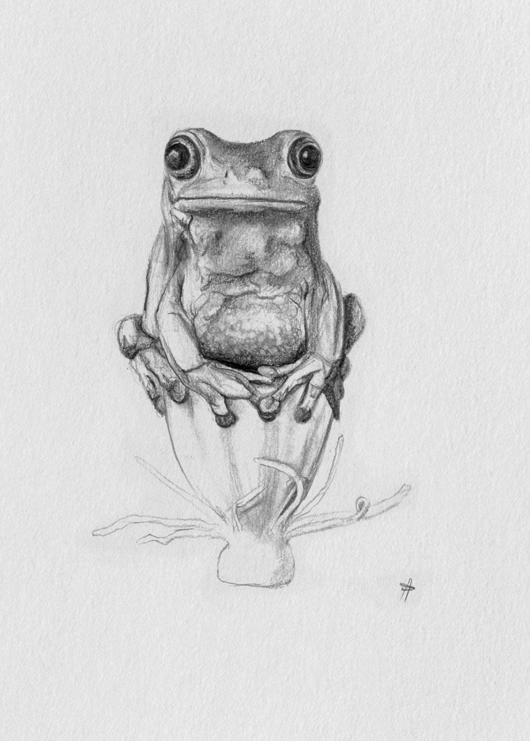 Froggy Drawing - Framed 5x7 Print - Etsy