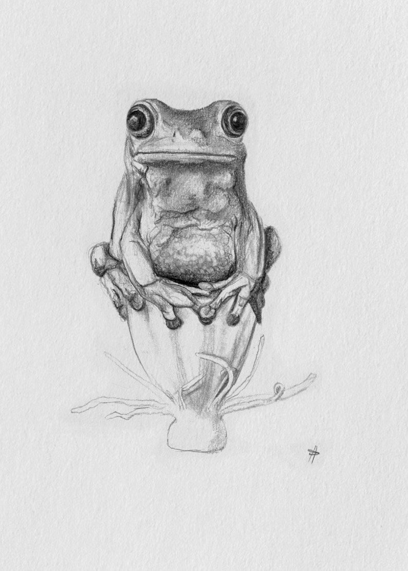 Froggy Drawing - Framed 5x7 Print - Etsy