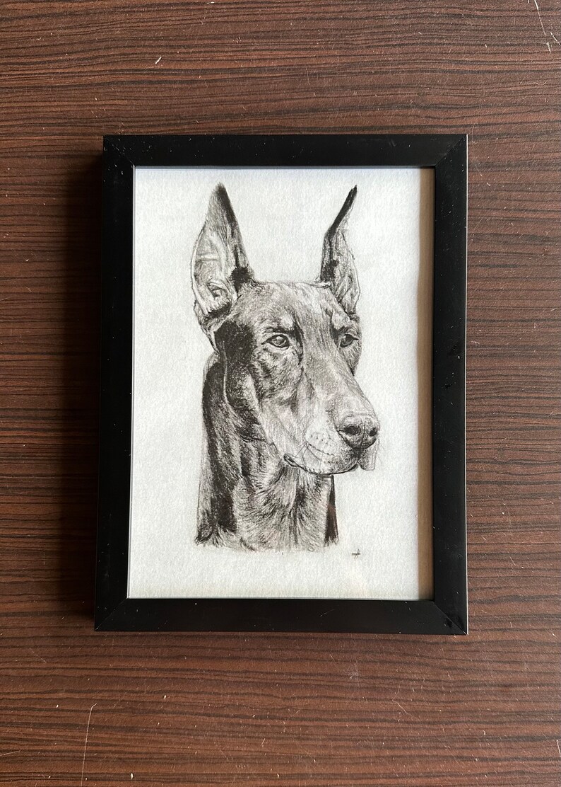 Doberman Drawing - Framed 5x7 Print - Etsy