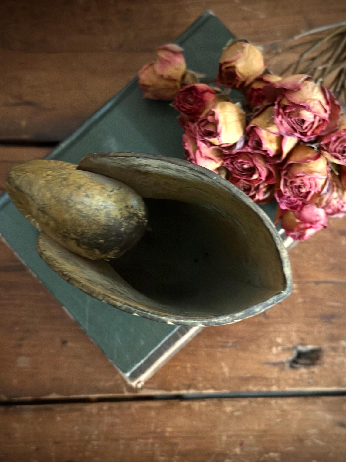 Vintage Verdigris Nautilus Shell Brass/ Bronze Vase - Etsy