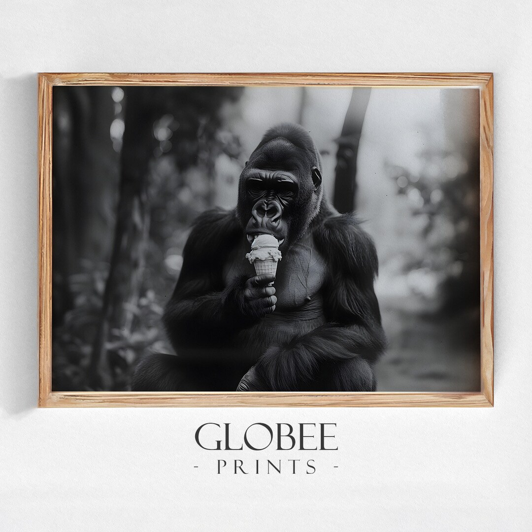 Gorilla Eating Ice Cream Old Photograph 1920 Vintage Black & White Art ...