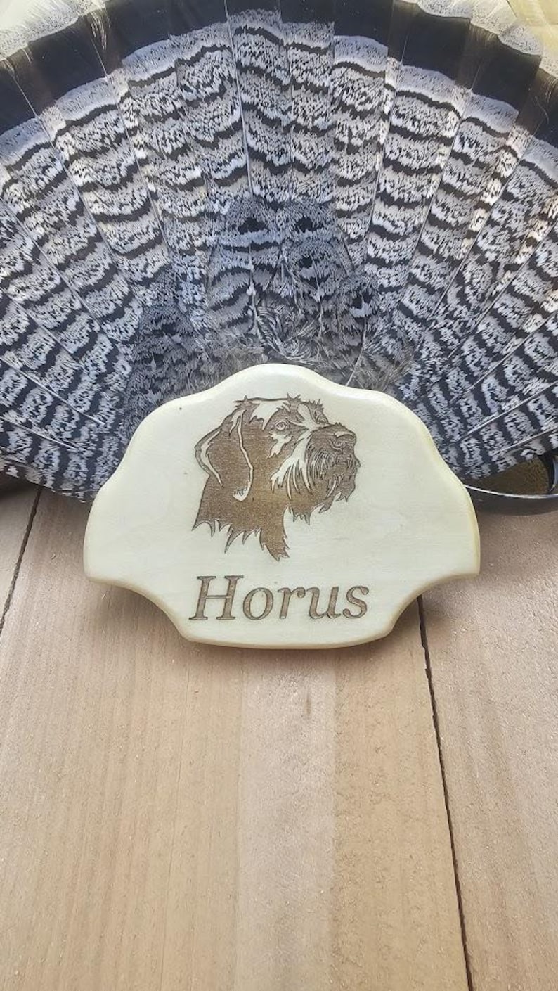 Custom Walnut Grouse Fan Mount Display - Etsy