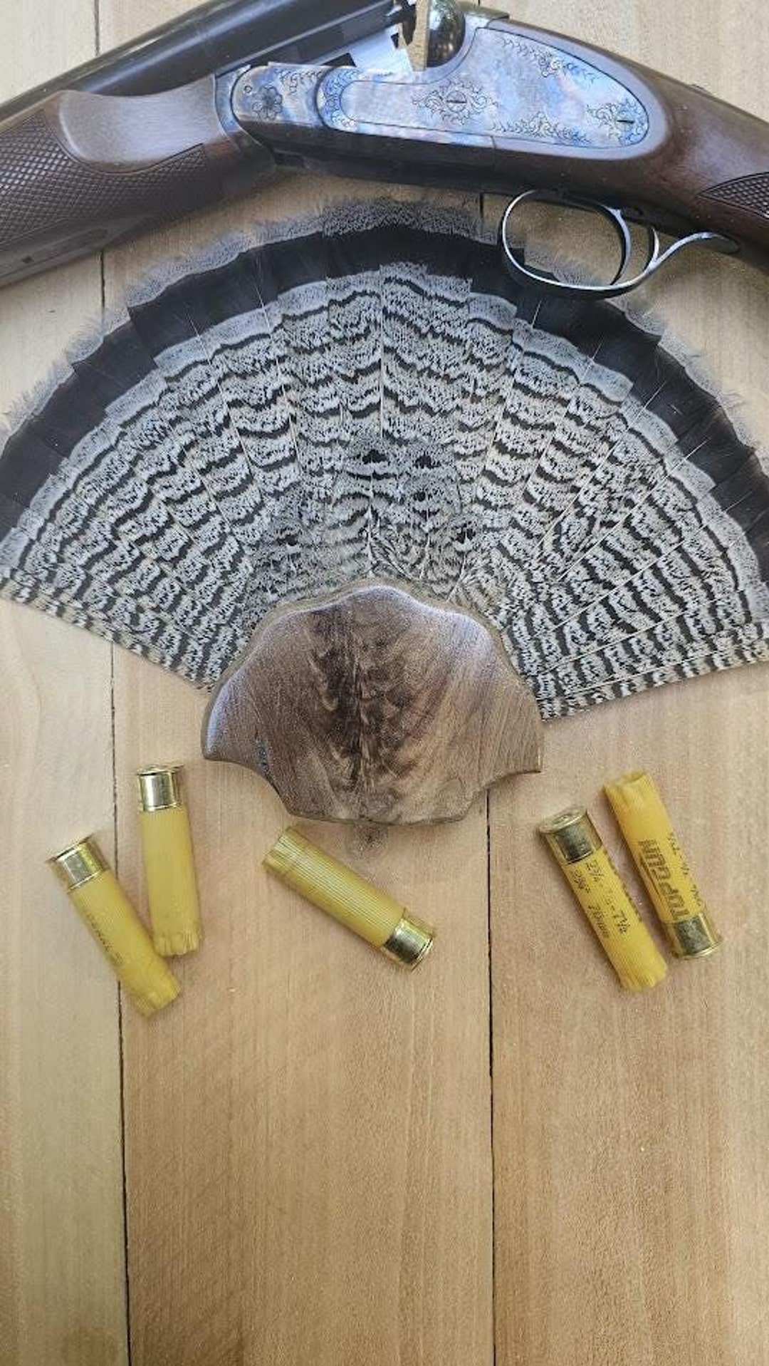 Custom Walnut Grouse Fan Mount Display - Etsy