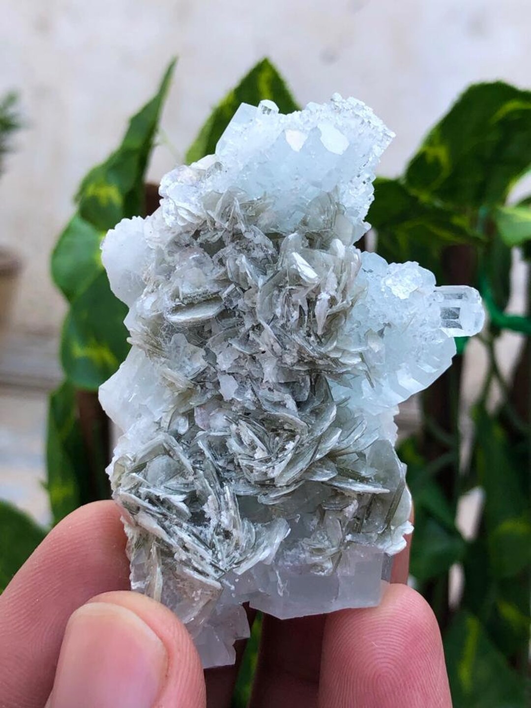 Aquarium Cluster With Muscovite Specimen 255 Carats . - Etsy