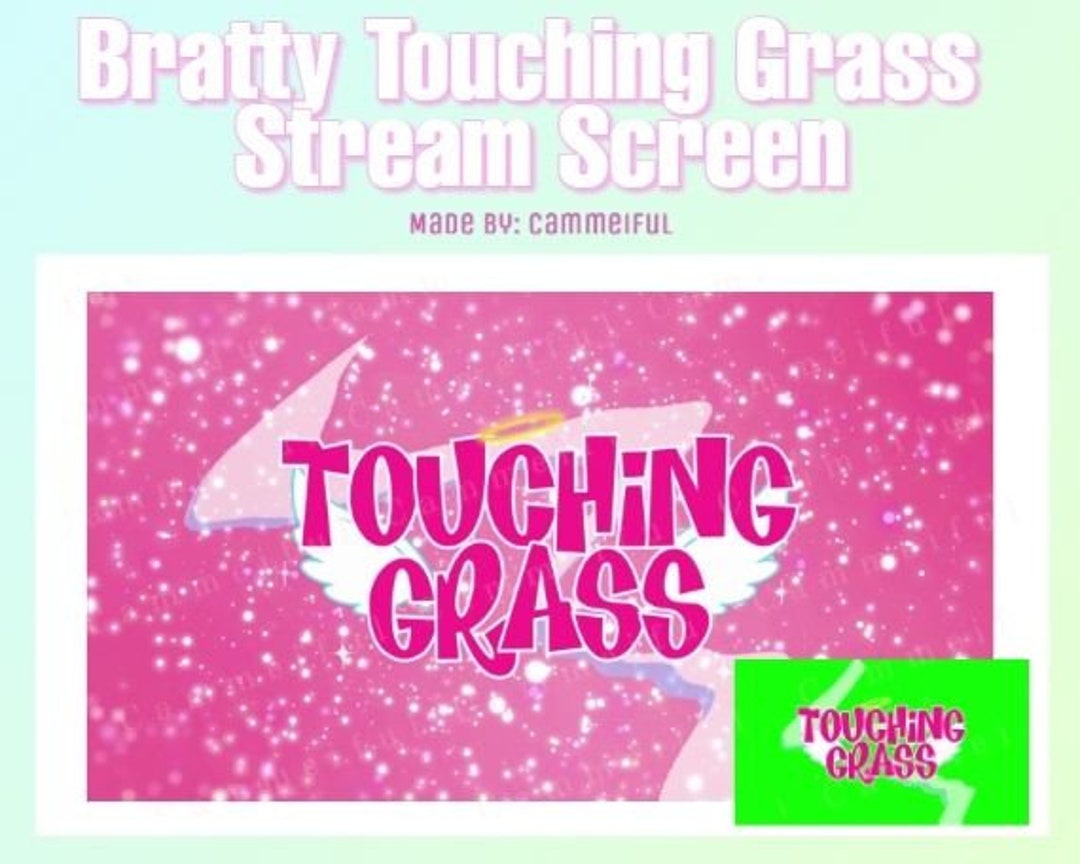 Touching Grass Animated Stream Screen (brats) - Etsy