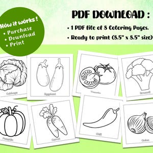 8 Vegetables Coloring Pages for Kids | Vegetables Coloring Pages | Kids ...